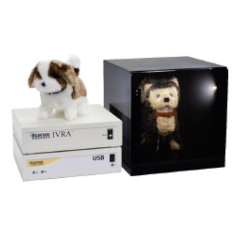 Intelligent Hearing Systems Intelligent VRA